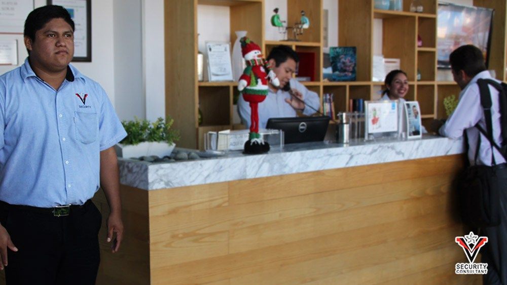 Servicios - Security Consultant